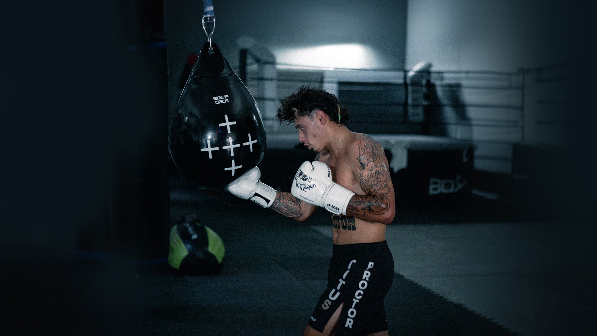 Bags – Box Finesse