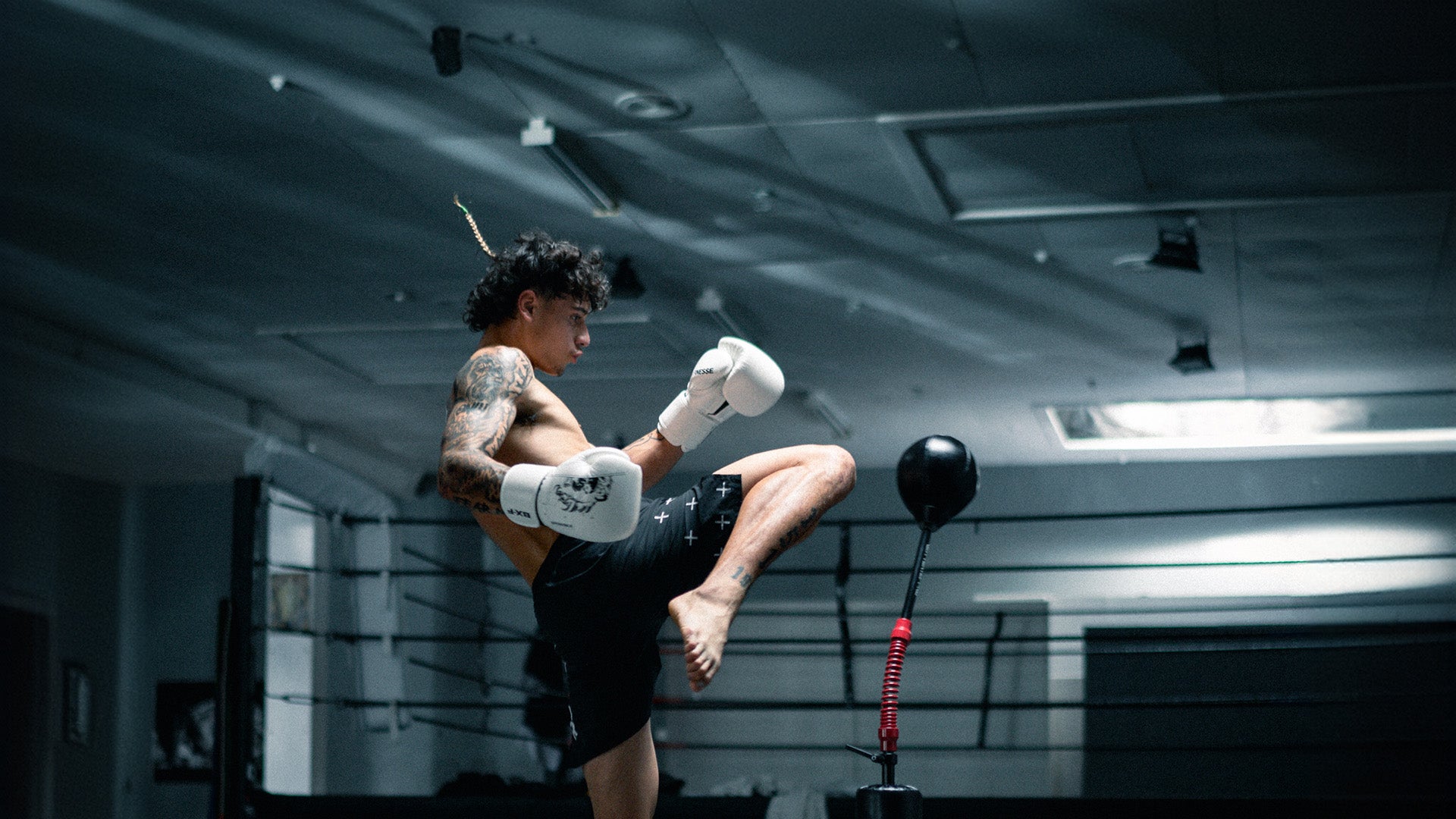 New Releases – Box Finesse