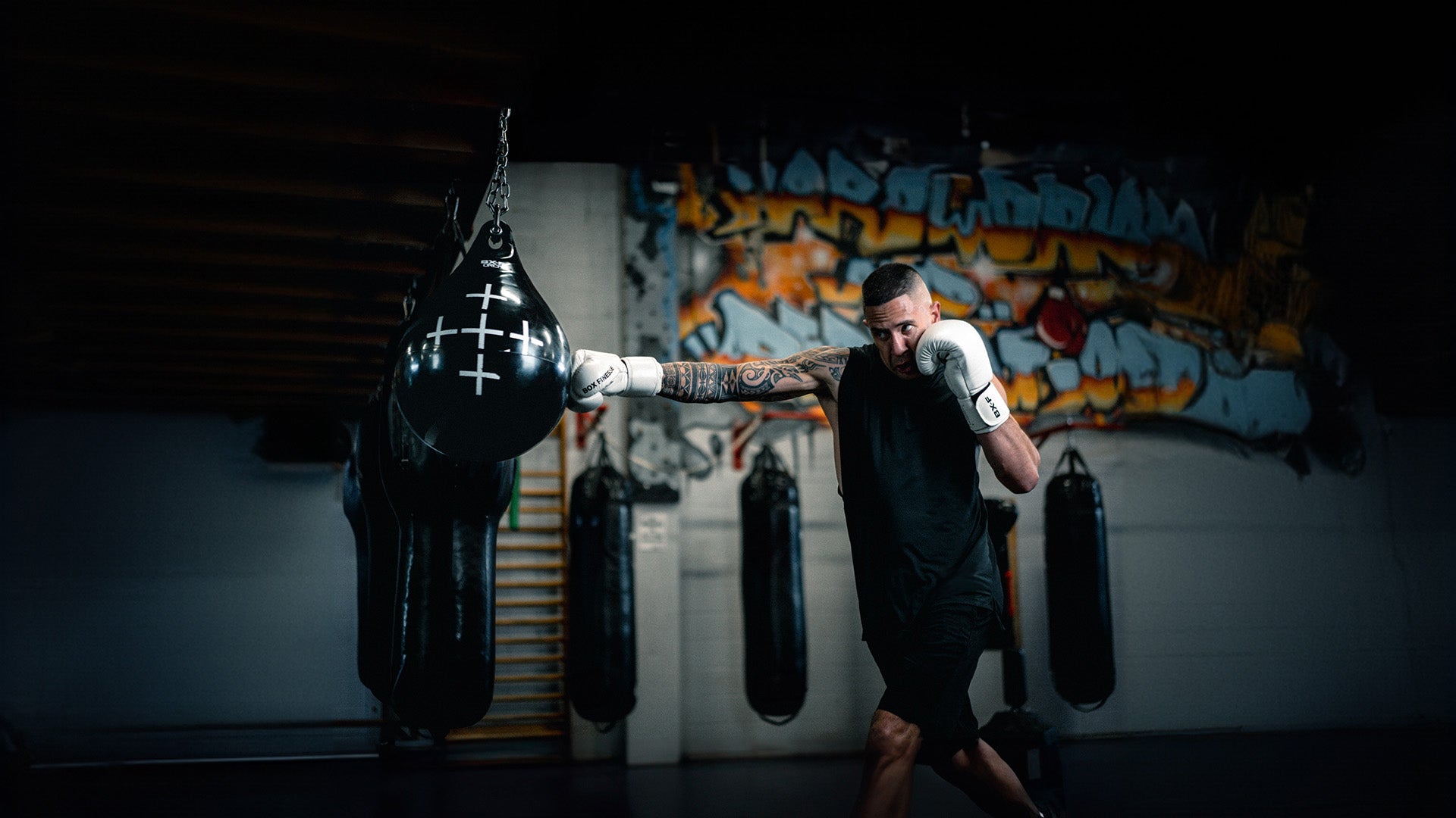 Kits – Box Finesse